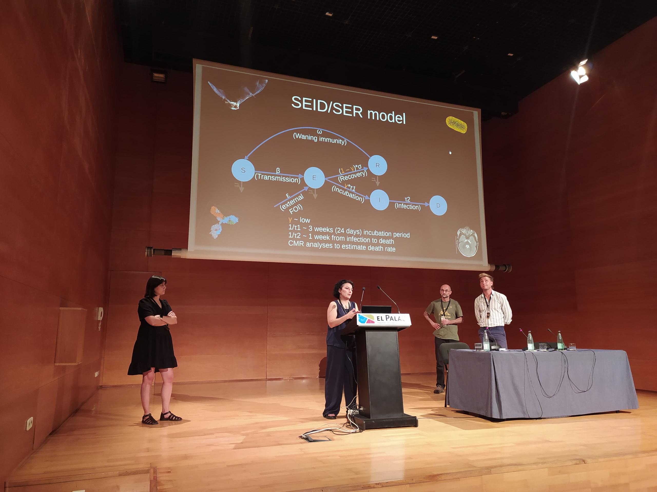 Tarragona reuneix els principals experts mundials en l’estudi dels ratpenats - Diari digital de ...