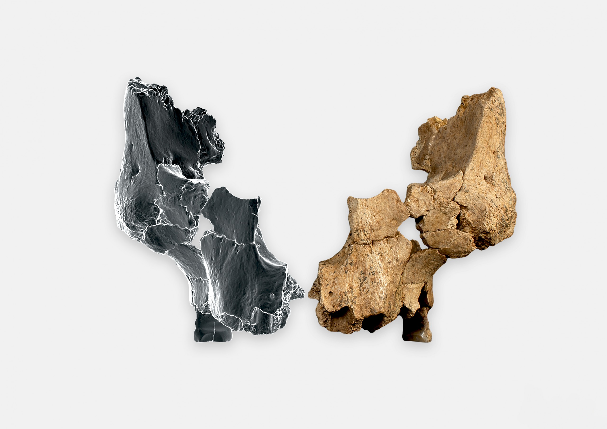 Atapuerca rewrites the history of Europe’s first inhabitants - Diari ...